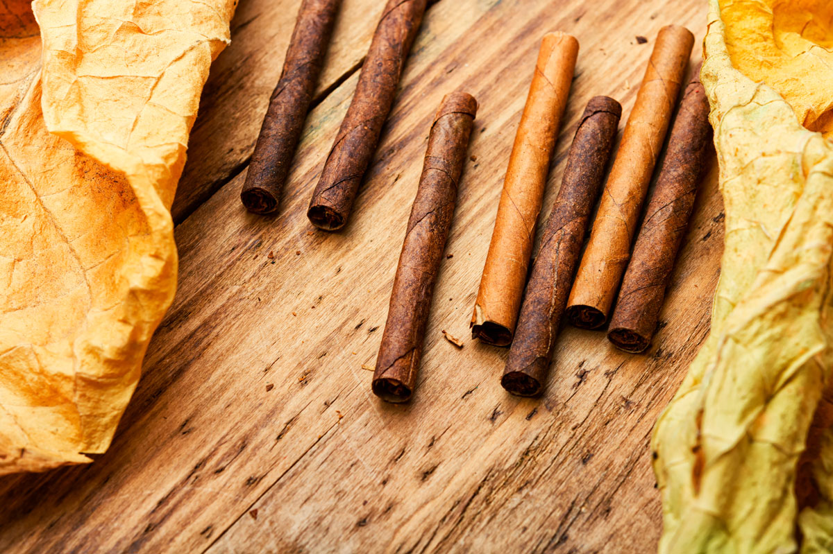 Cigar 101: A Beginner’s Guide to Cigar Smoking – Leaf to Ash